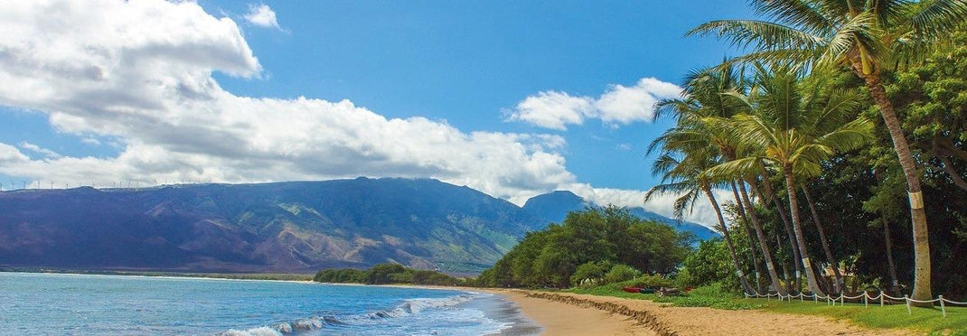 Our Story – Pineapple Threads Clothing